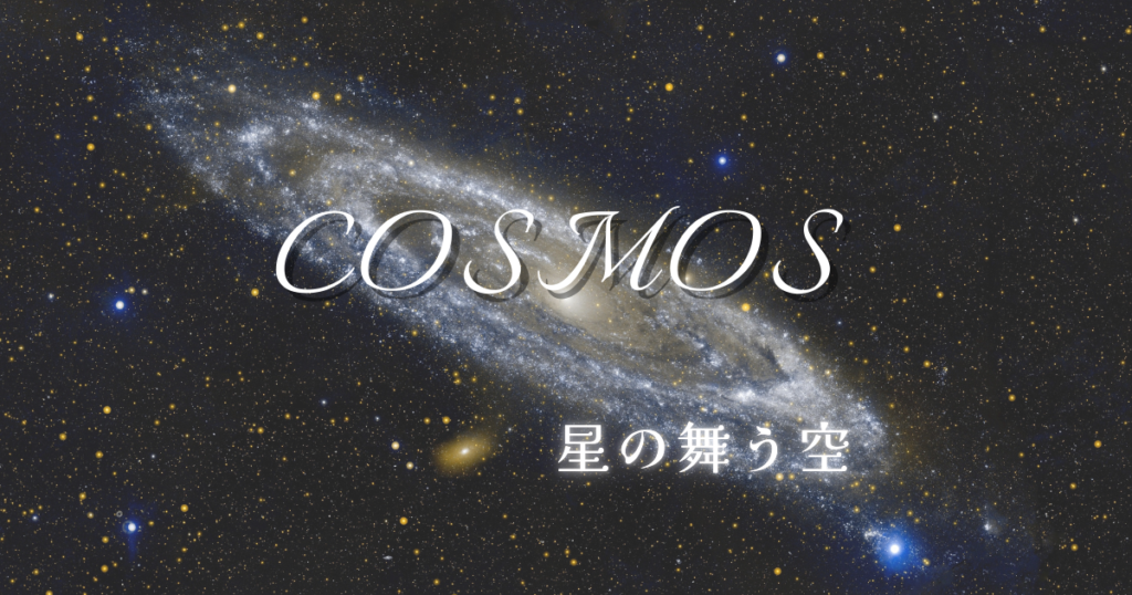 🪐 宙組『黒蜥蜴』『Diamond IMPULSE』突撃レポ ー 舞台で深まる『黒蜥蜴』の世界 | 星の舞う空